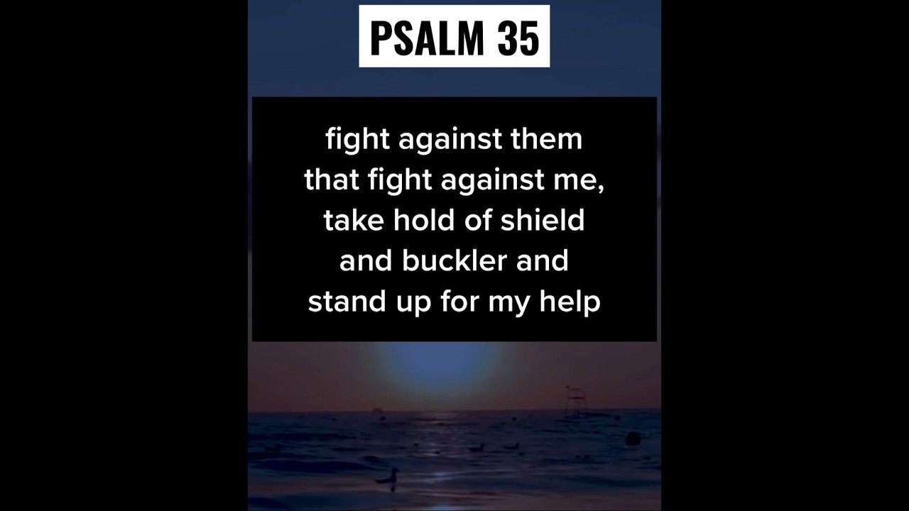 Psalm 35- Prayer for Protection: I PLEA MY CAUSE TO YOU LORD ...